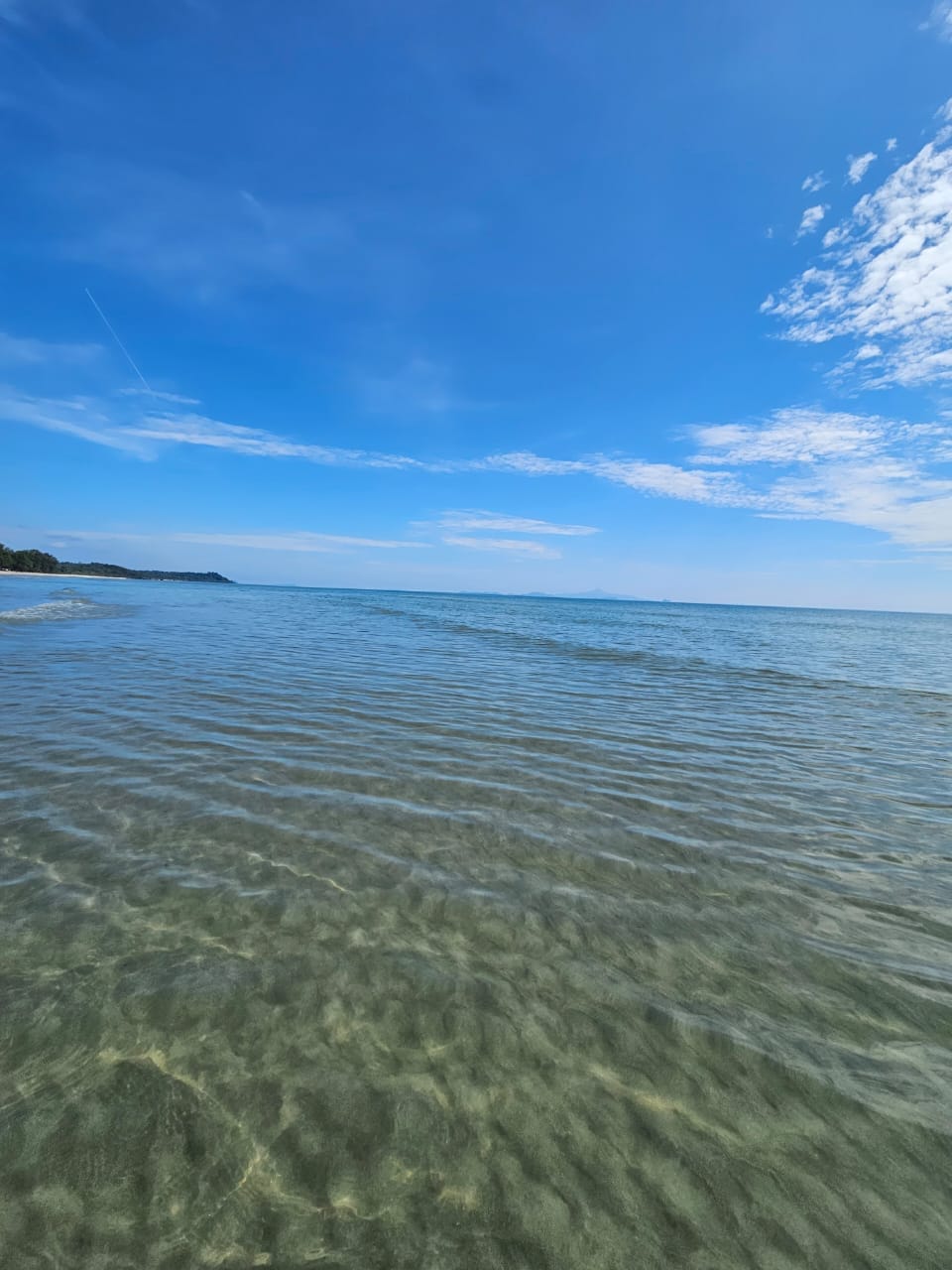 Tiger Base Camp – Campersite.my